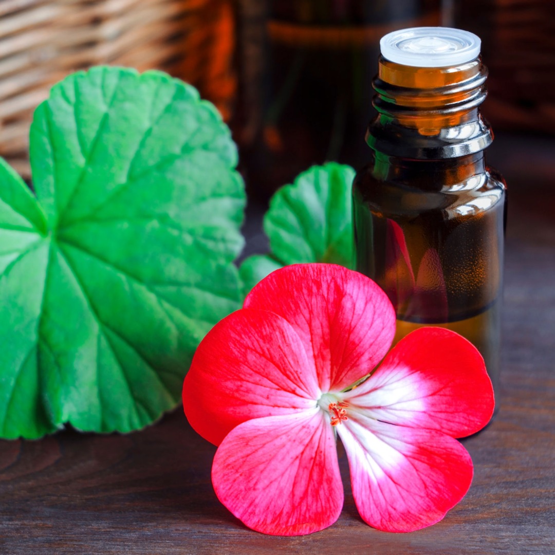 Best 8 Natural Treatments for Seborrheic Dermatitis - SEBDERMATOLOGY